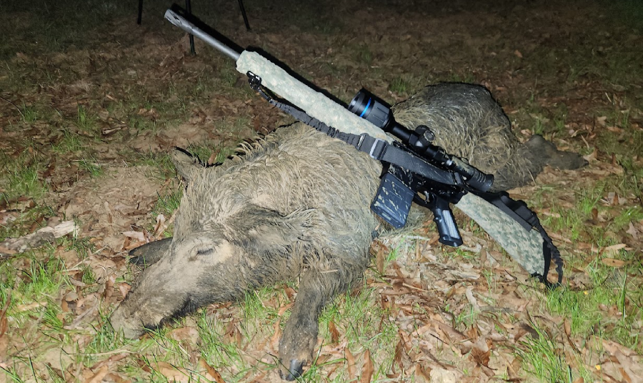 Thermal Scope Discipline on Grazing Land